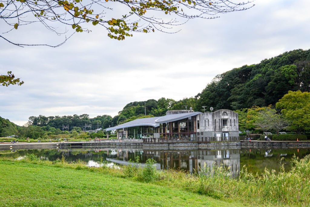 Best parks for families near Tokyo: Forest for the 21st Century ...