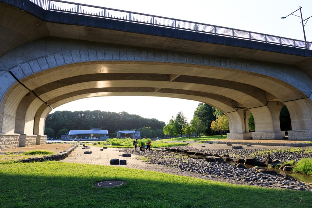 Best parks for families near Tokyo: Forest for the 21st Century ...