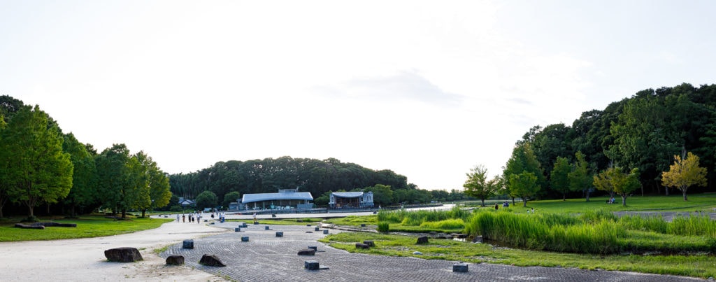 Best parks for families near Tokyo: Forest for the 21st Century ...