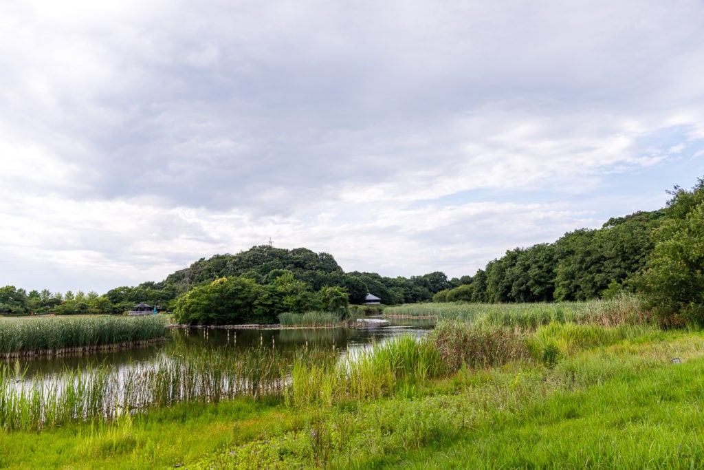 Best parks for families near Tokyo: Forest for the 21st Century ...