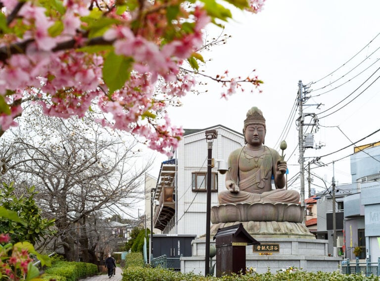 The best hanami walking routes in Tokyo - Practical Japan