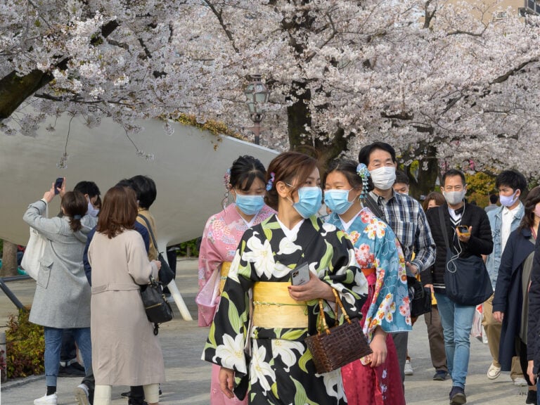 The best hanami walking routes in Tokyo - Practical Japan